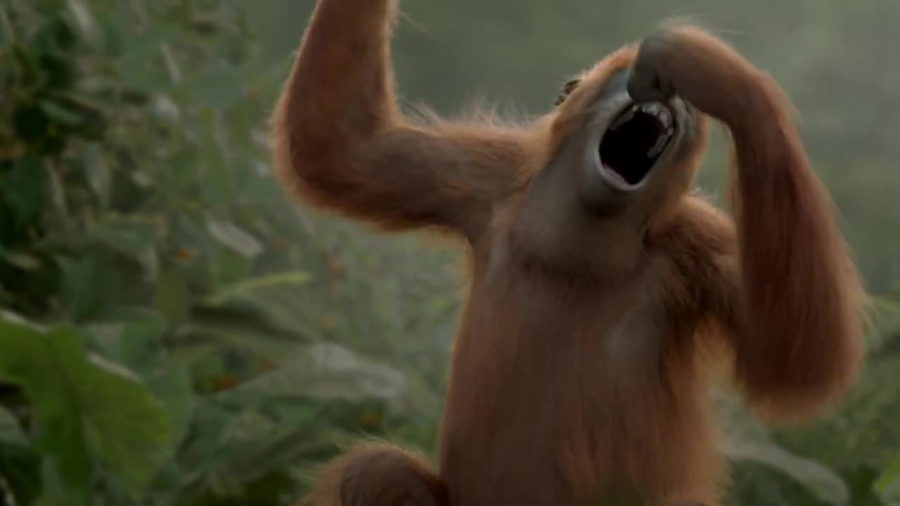 Rynkeby : Monkey Dance - Culture Pub